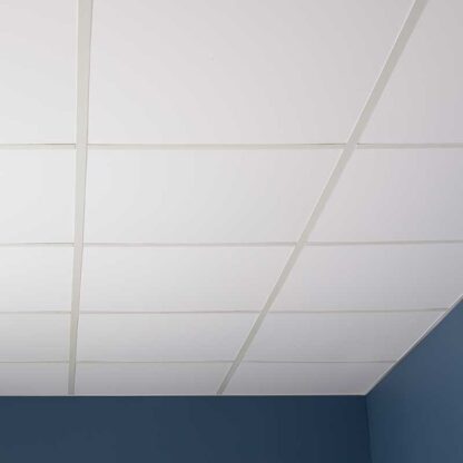 Genesis Standard Series Performance Vinyl Ceiling Panels