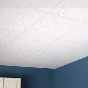 Printed Pro - Genesis Ceiling Panels