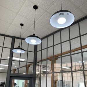 Commercial - Genesis Ceiling Panels