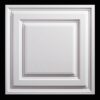 - Genesis Ceiling Panels